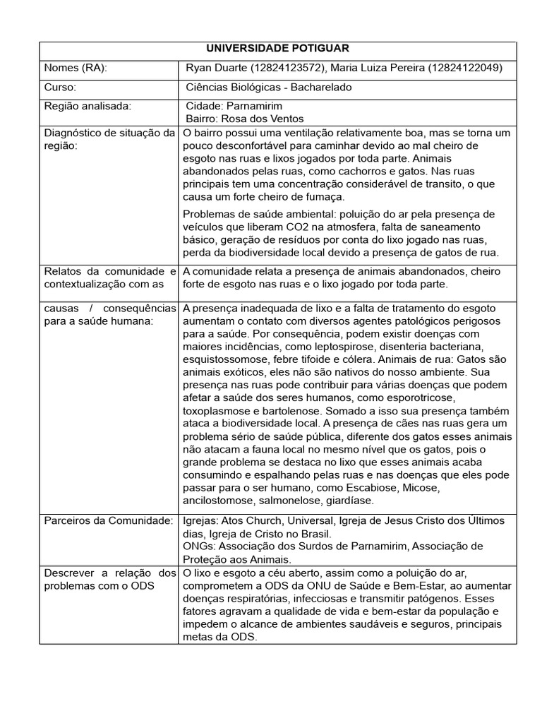 Relatório-Ryan e Luiza | PDF