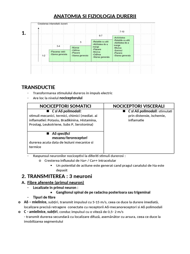 02 - Anatomia Si Fiziologia Durerii | PDF
