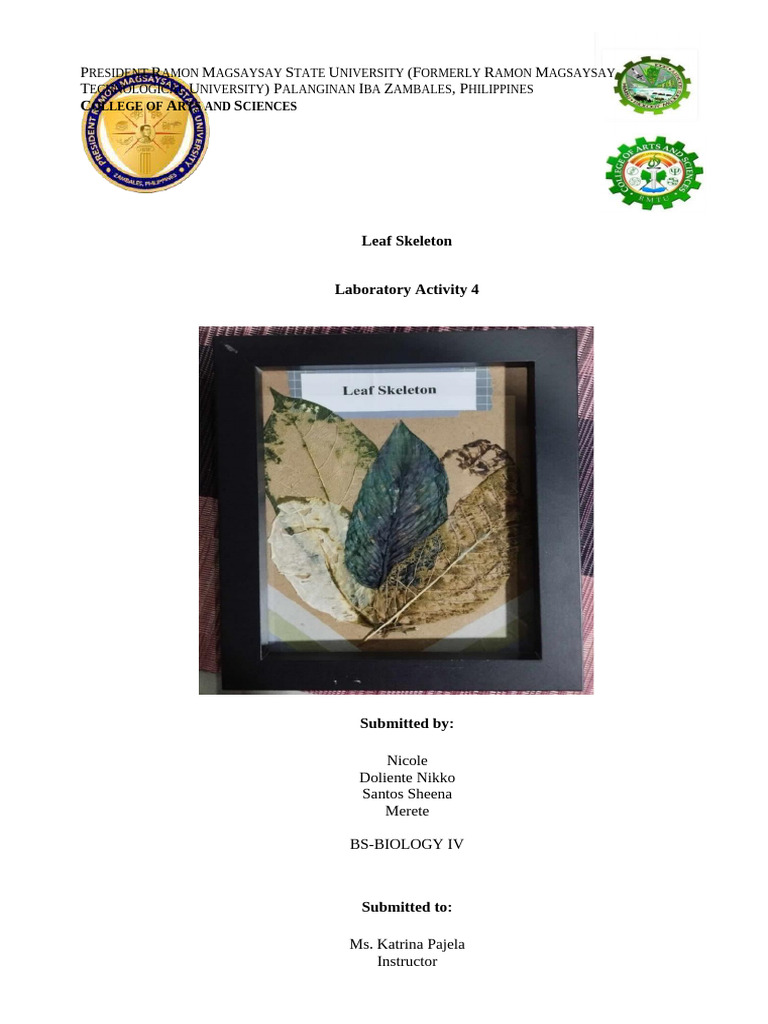 Leaf Skeleton Laboratory Activity 4 | PDF