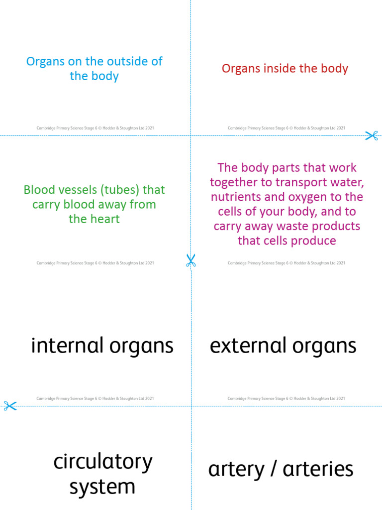 Unit 1- Flashcards | PDF