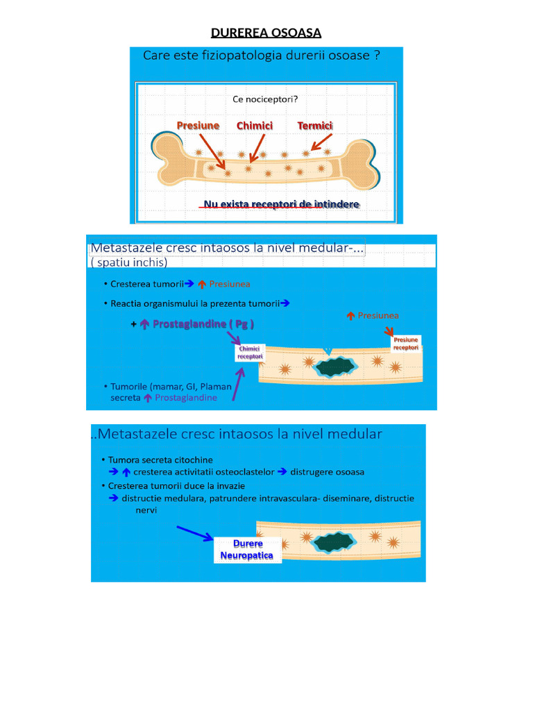 Durerea Osoasa | PDF
