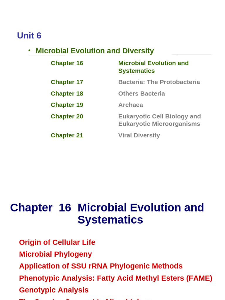 11, 12 Microbial Evolution and Systematics 2021 2023 | PDF
