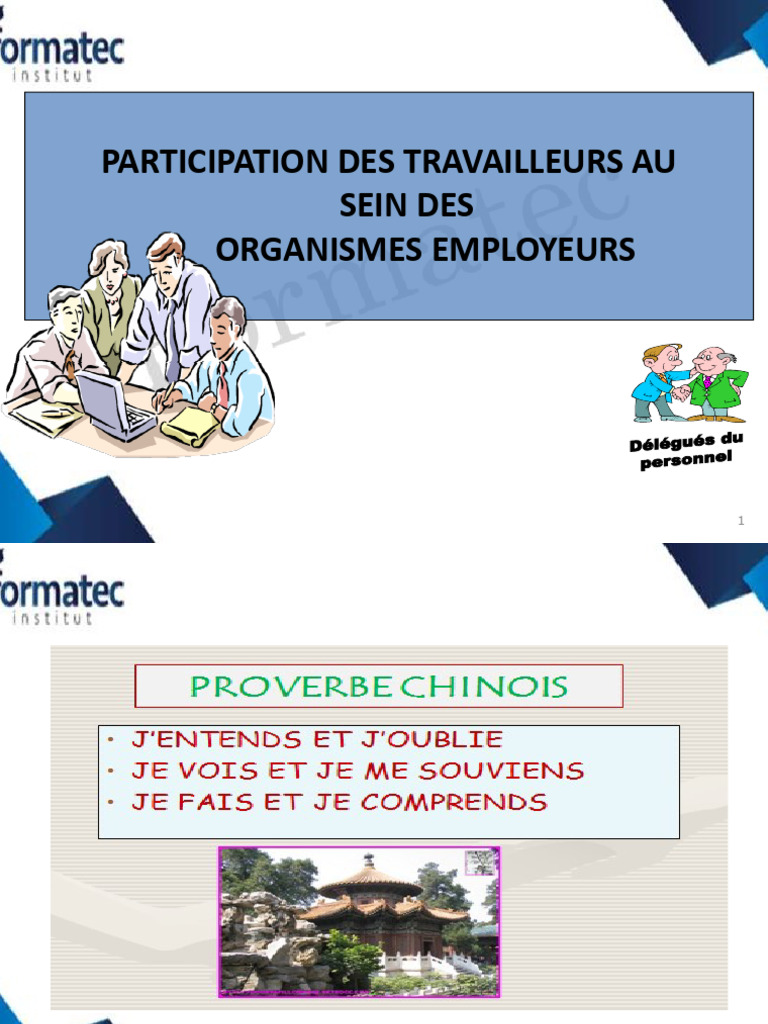 Le Comite de Participation | PDF