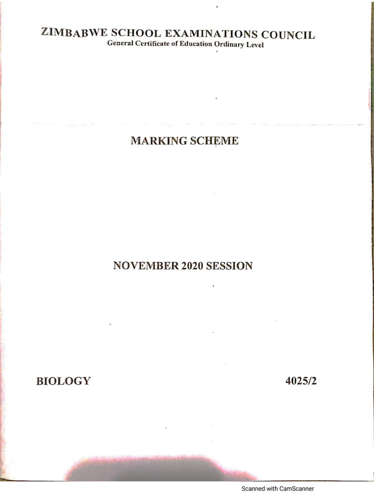 4025 M2020 P2 Ms | PDF