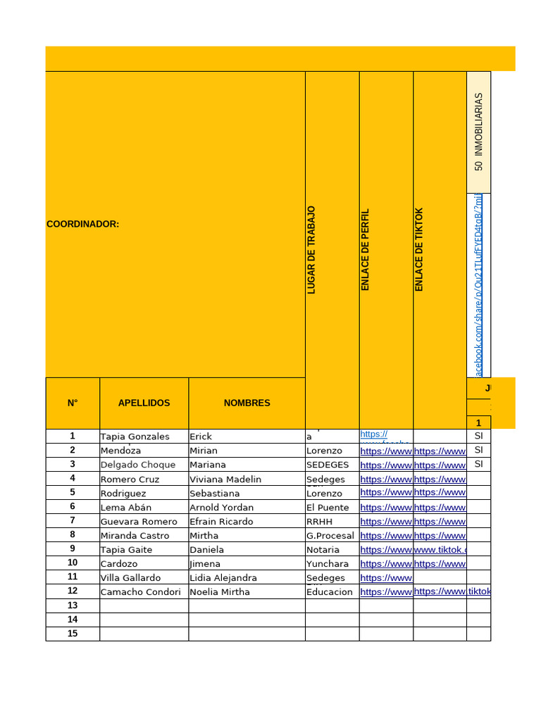 Planilla de Ev. Subcoordinadores-Agosto | PDF