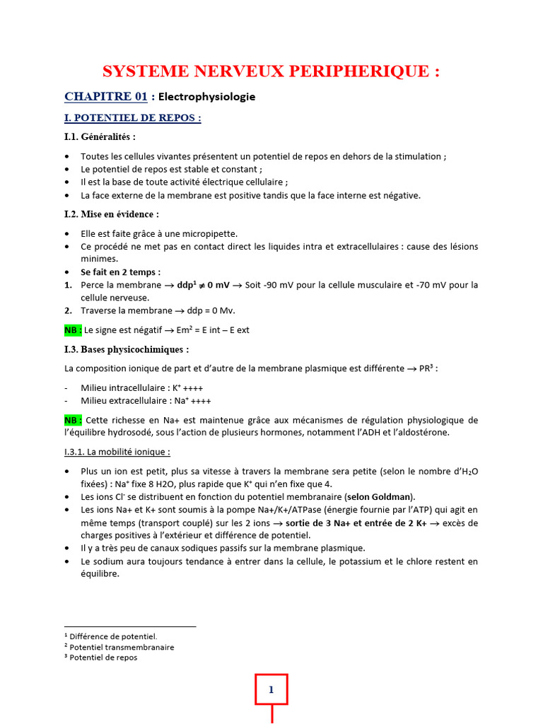Physio Neuro Résumé Ryma | PDF