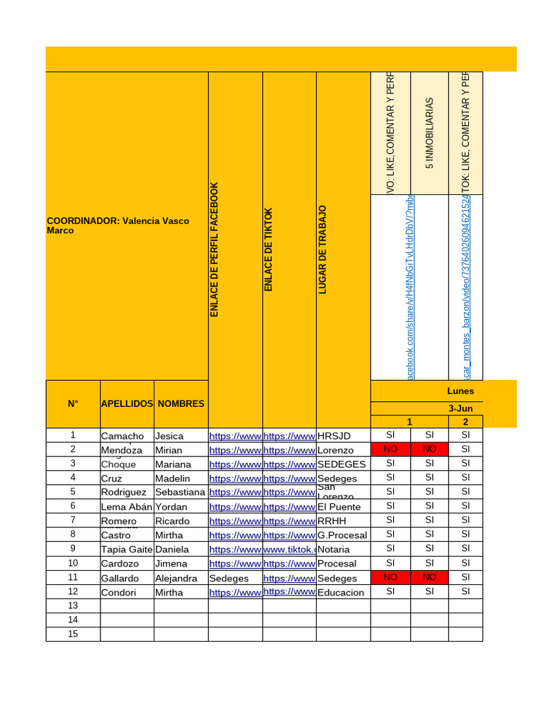 Planilla de Ev. Subcoordinadores Junio Marco Valencia | PDF