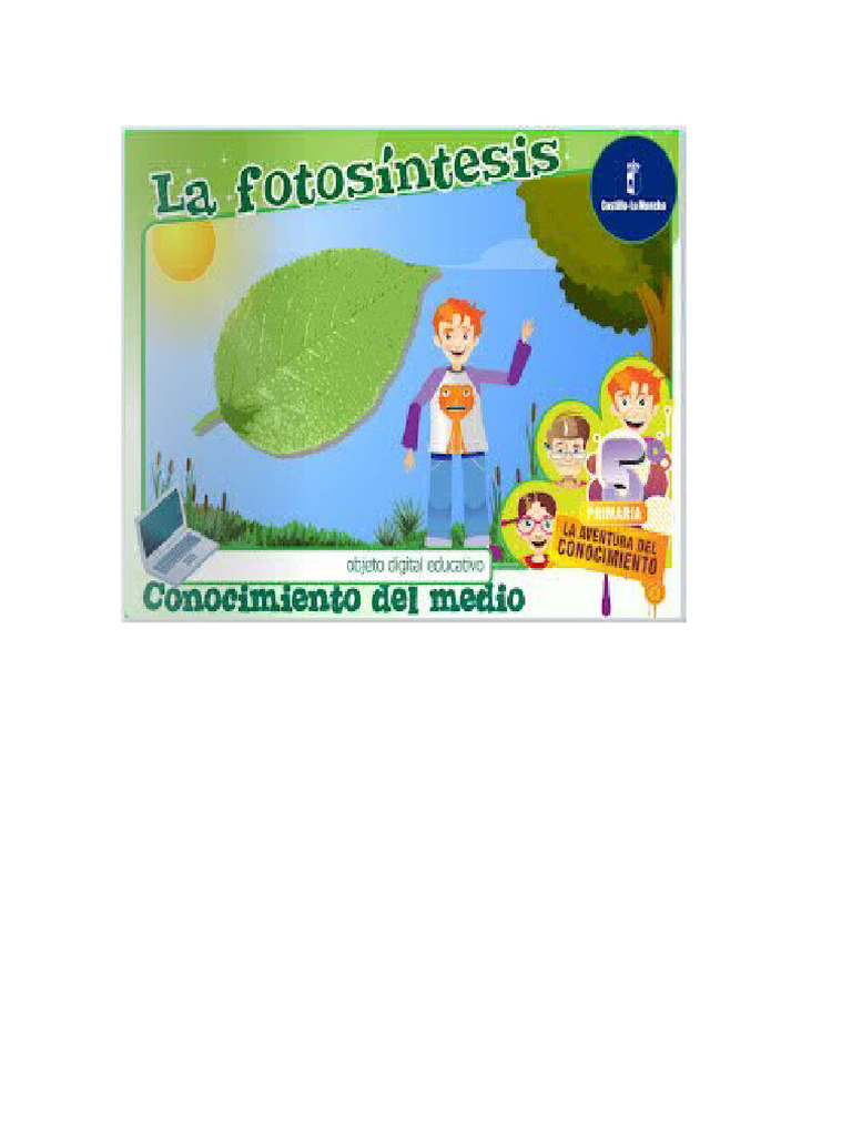 La Fotosíntesis | PDF