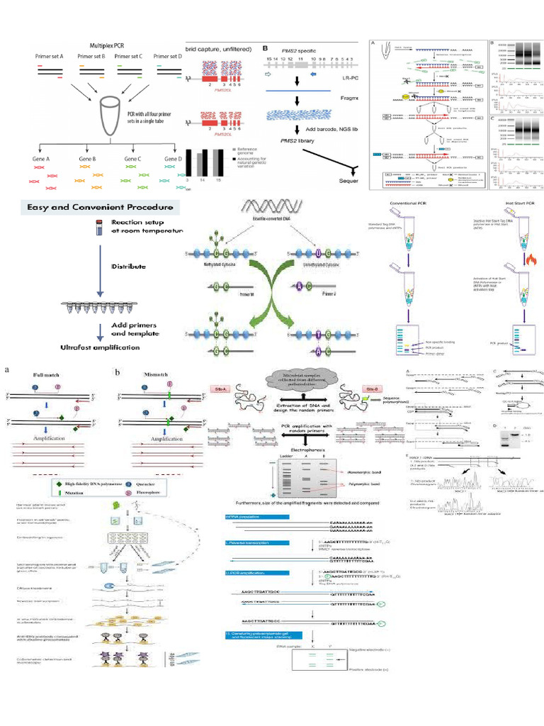 PCR Types | PDF