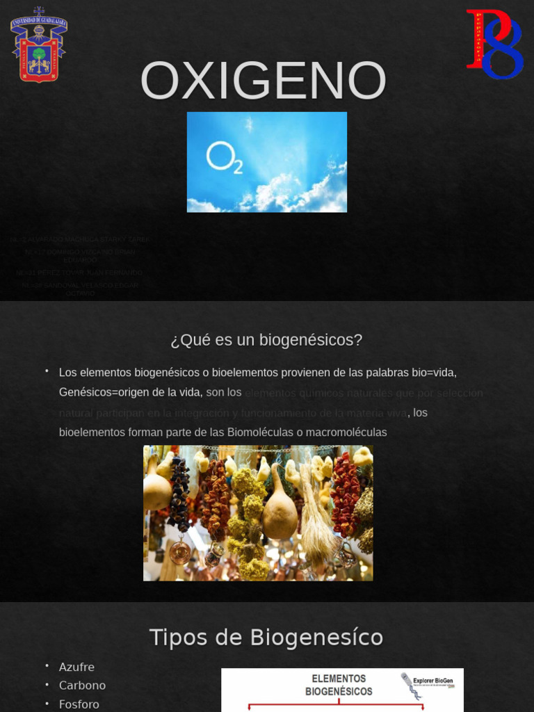 Equipo2 4-B TM | PDF