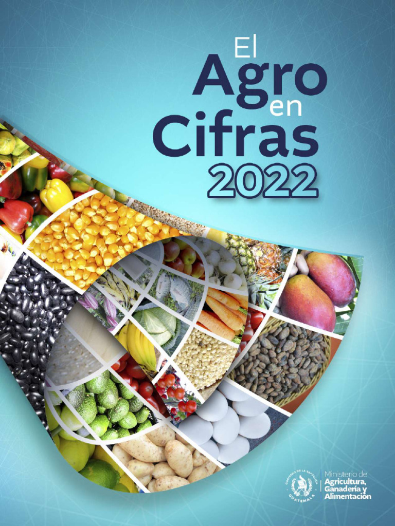 El Agro en Cifras - 2022 | PDF