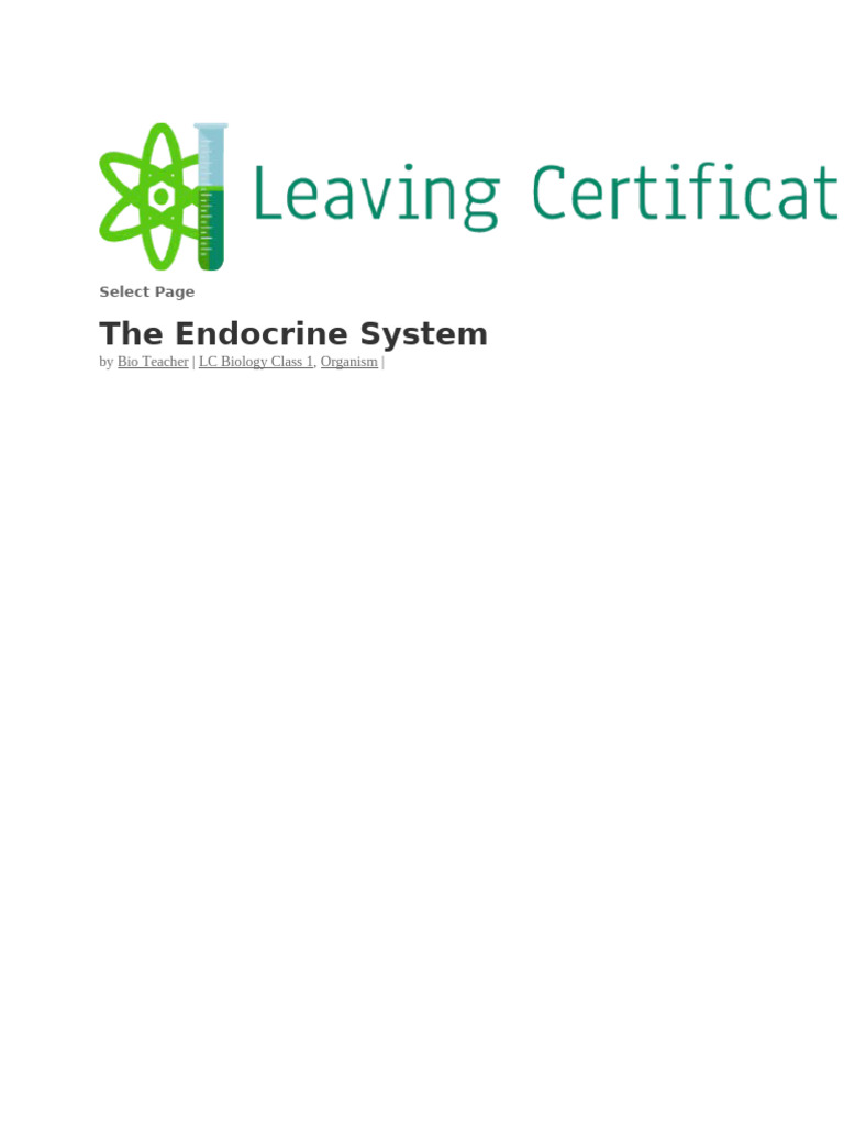 The Endocrine System Notes | PDF