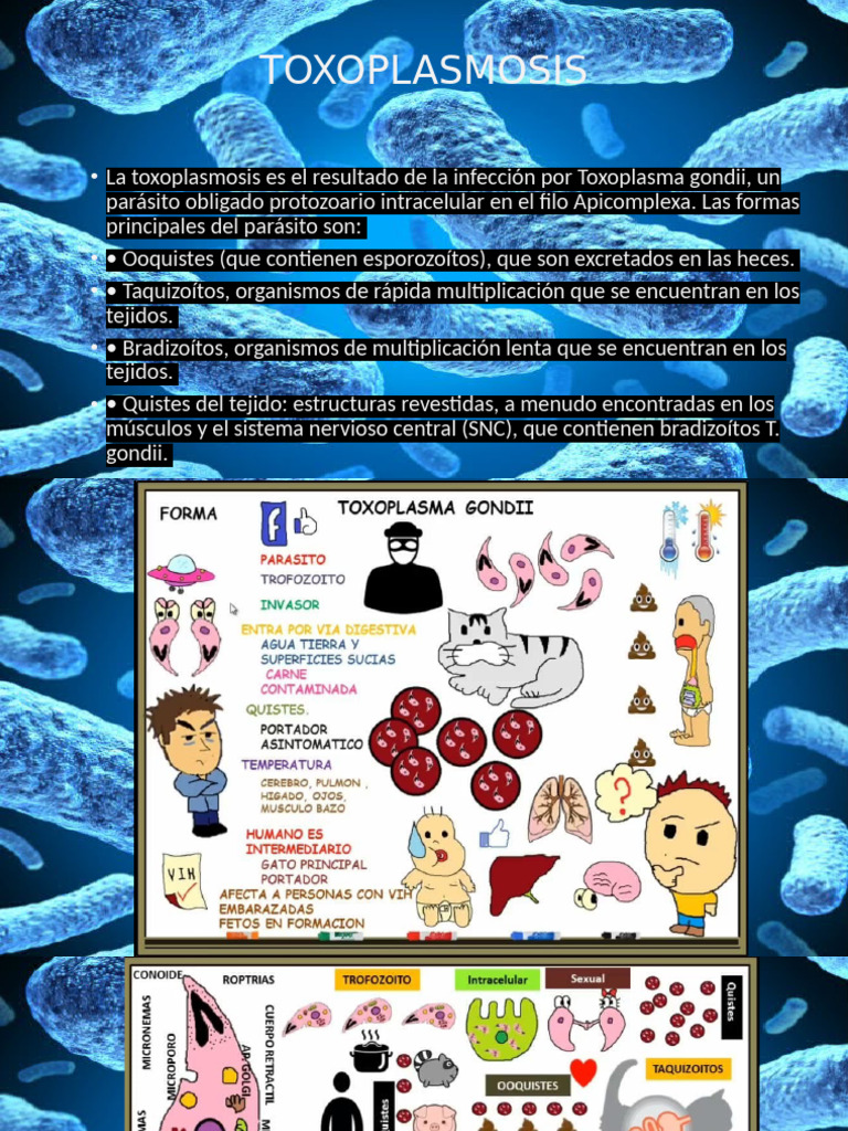 TOXOPLASMOSIS | PDF