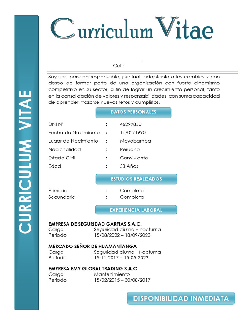 CV 2025 | PDF