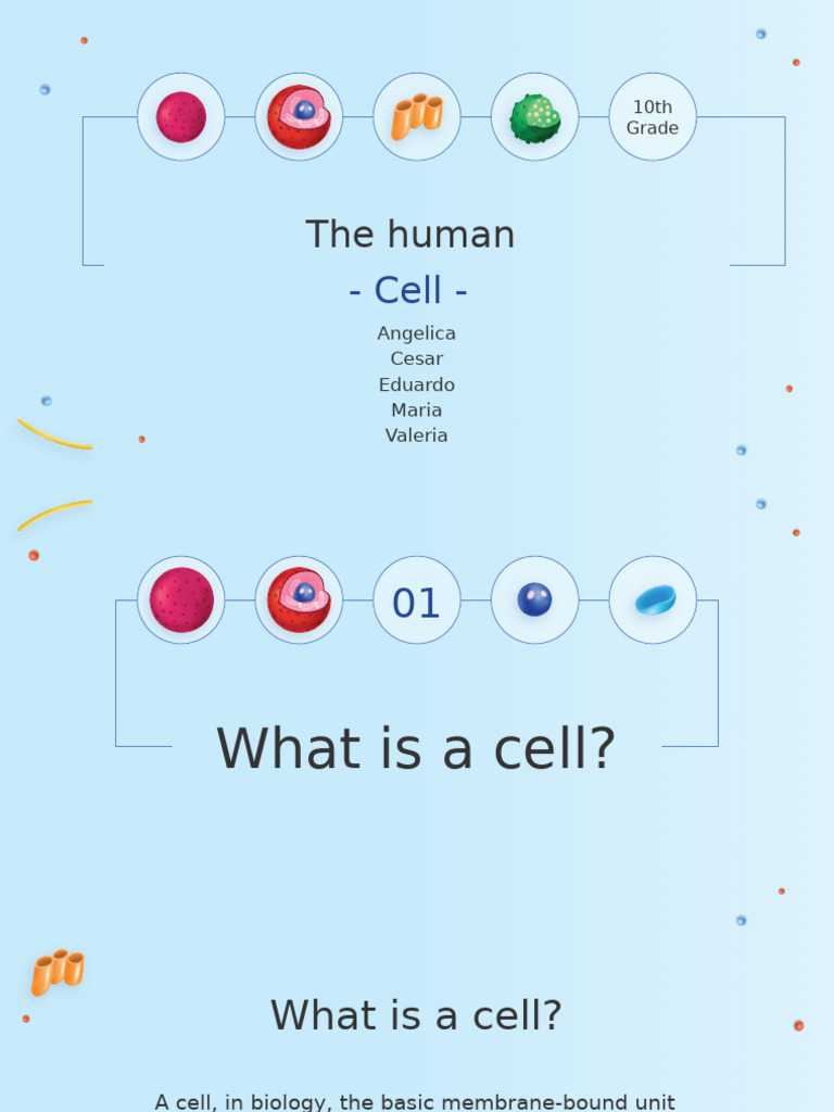 Biology Cell | PDF