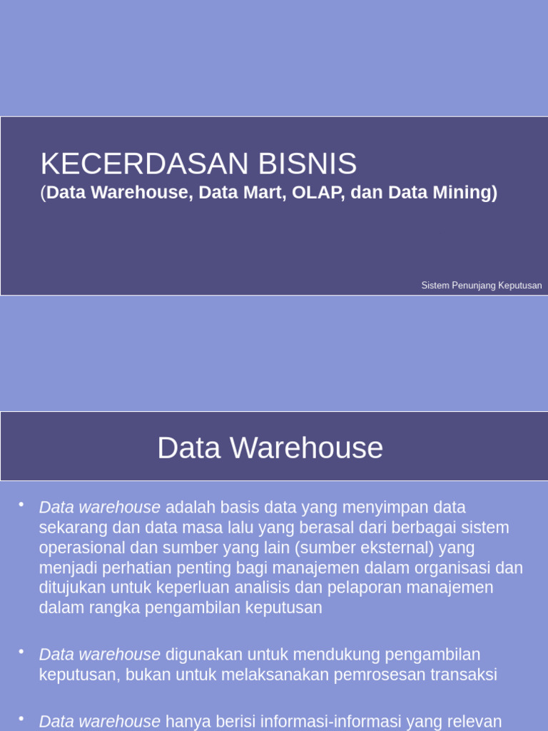 Chapter Ke 11 Kecerdasan Bisnis DW | PDF