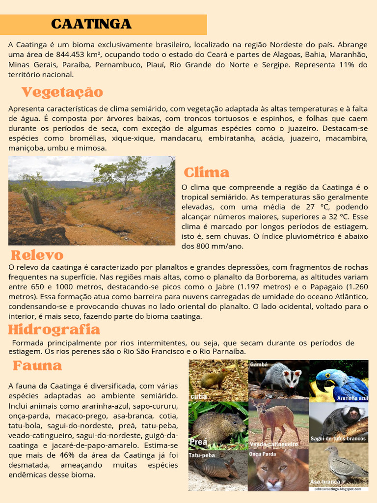 Caatinga | PDF