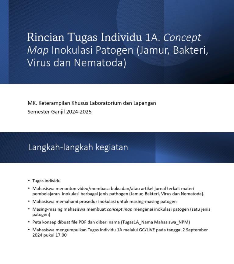 Rincian Tugas Individu 1A - 2024 | PDF