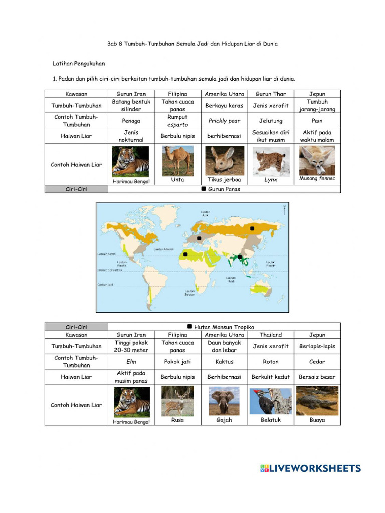 LATIHAN BAB 8 T3 | PDF