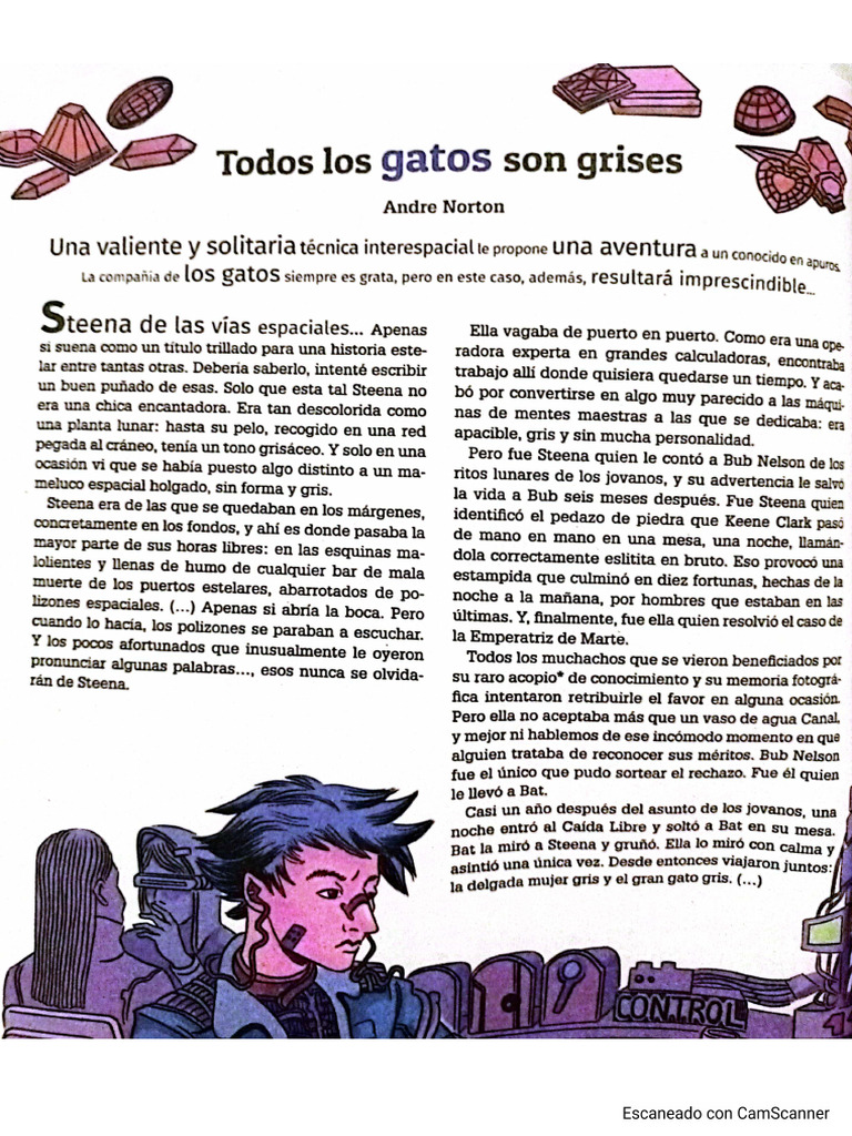 Tarea Todos Los Gatos Son Grises | PDF