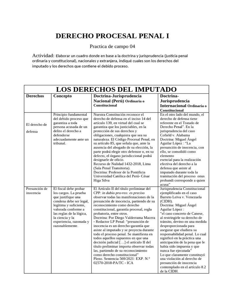 Practica de Campo 4 | PDF