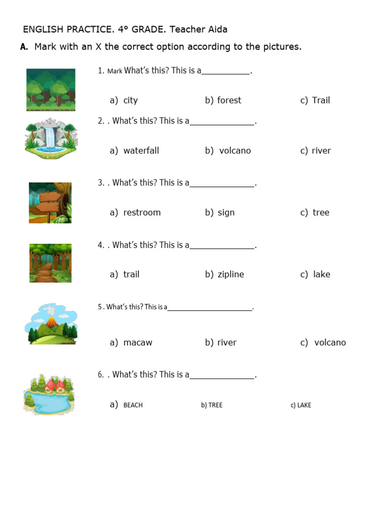 ENGLISH PRACTICE 4° Grade | PDF