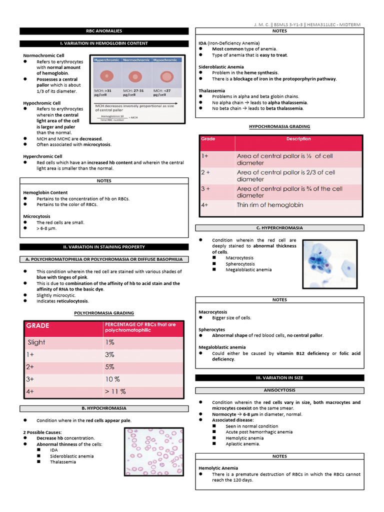 III. RBC Anomalies | PDF
