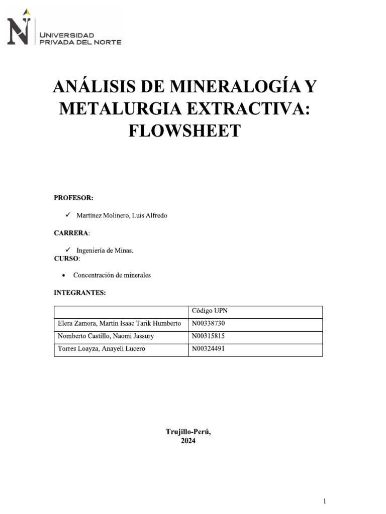 Informe Final Flowsheet - Minas | PDF