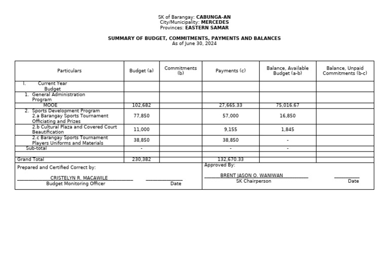 ANNEX - Summary of Budget, Commitments, Payments and Balances | PDF