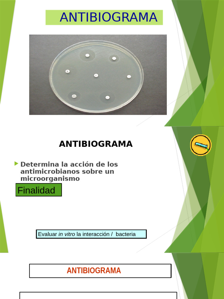 ANTIBIOGRAMA | PDF