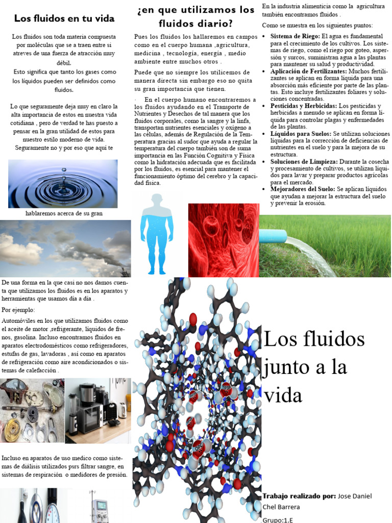 Fluid Os | PDF