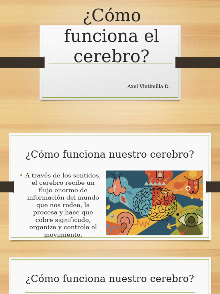 005 Como Funciona El Cerebro | PDF