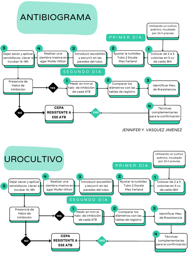 Procedimiento de antibiograma detallado | PDF | Microbiología