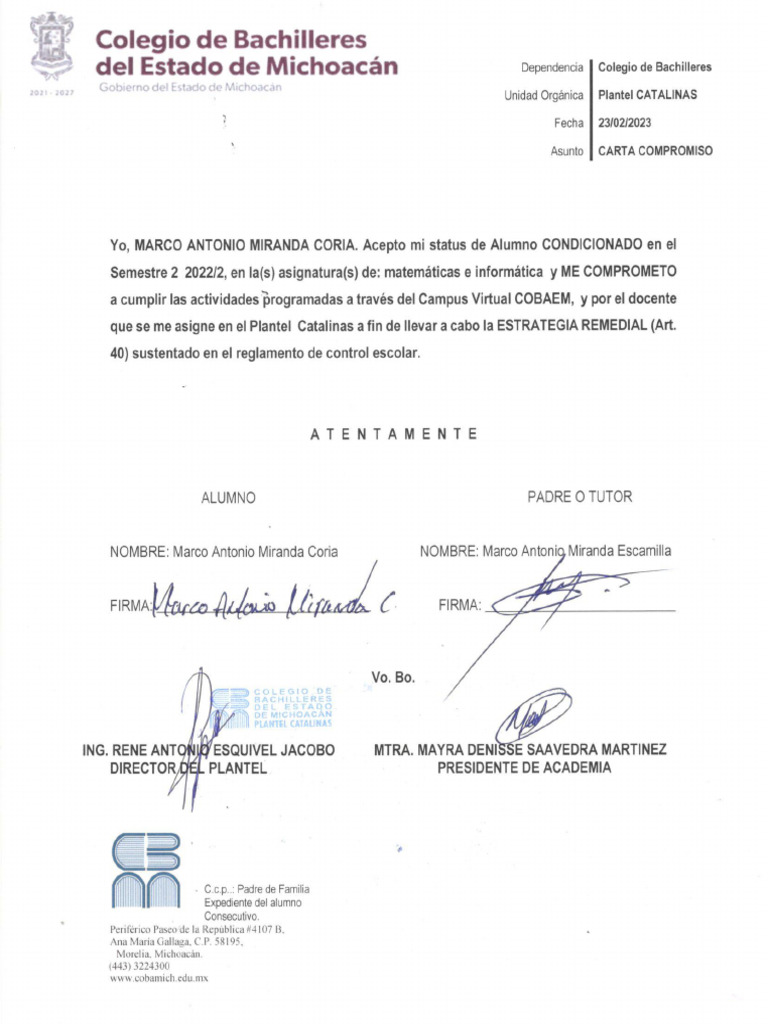 Articulo 40 Marco Miranda | PDF