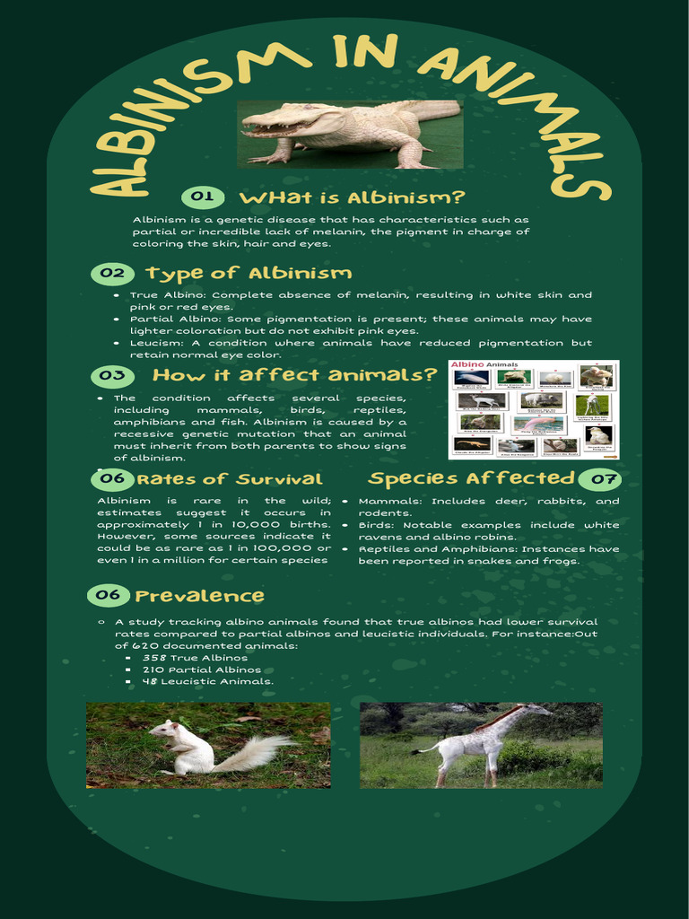 Albinism in Animals | PDF