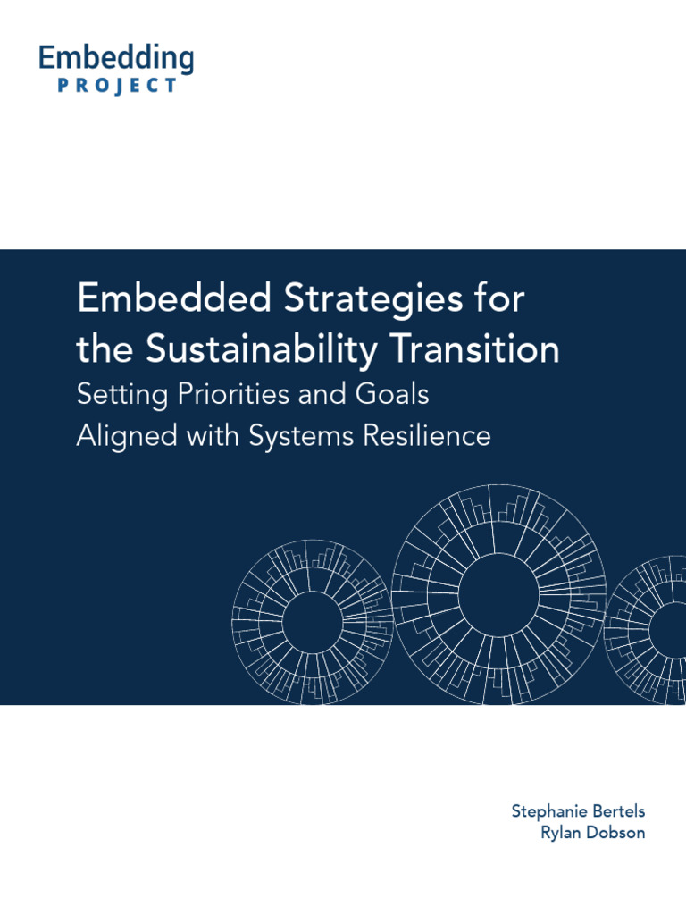 EP Embedded Strategies For The Sustainability Transition | PDF