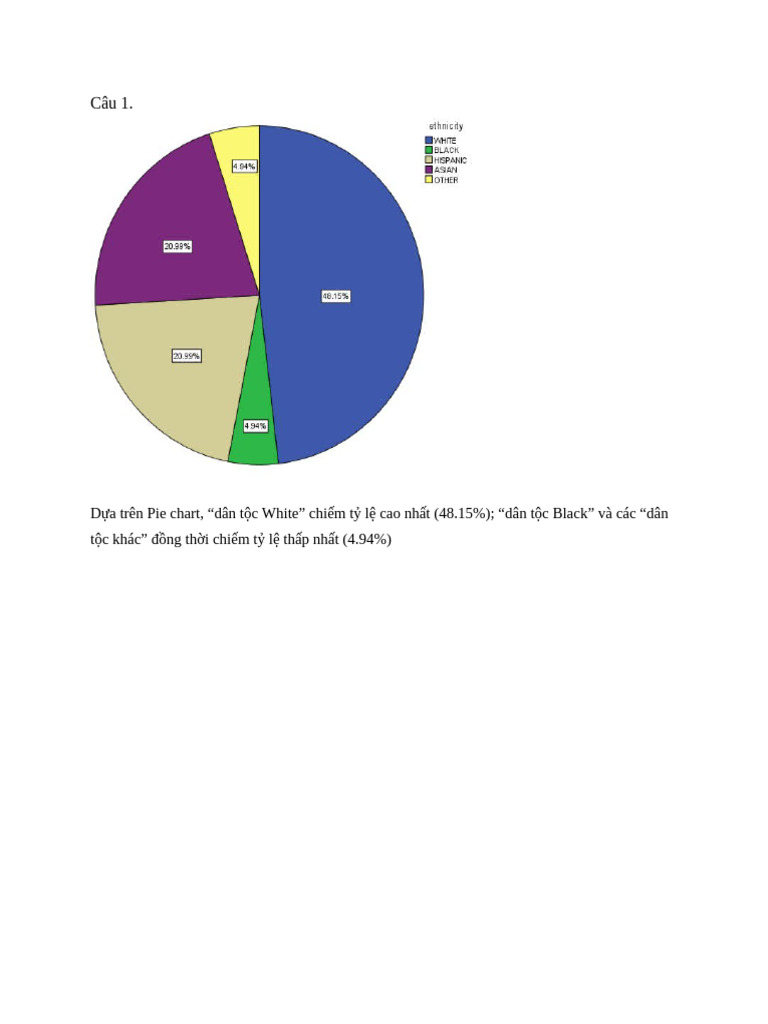 Bài-làm-câu-1-Pie-chart | PDF