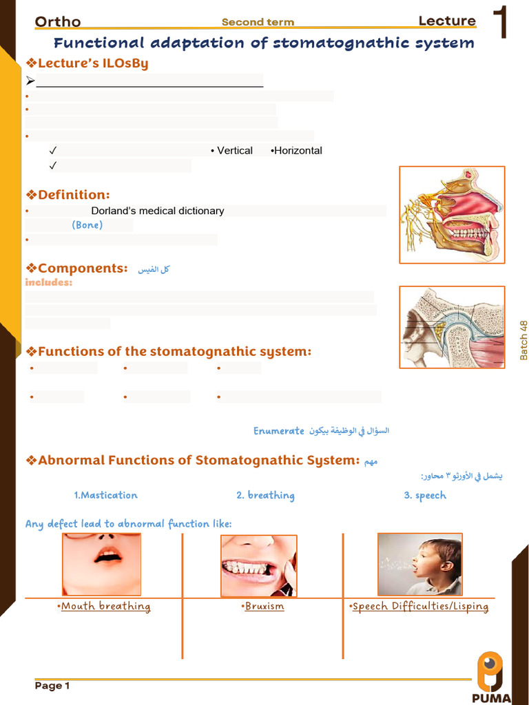 Lec 1 Functional Adaptation of Stomatognathic System | PDF