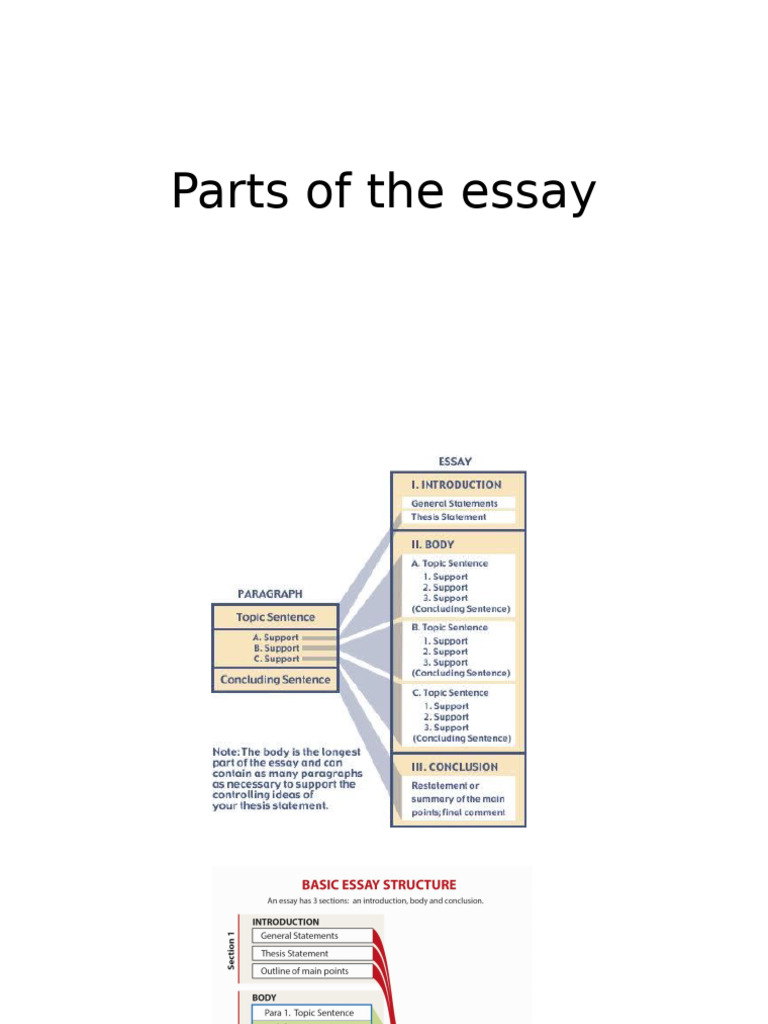Parts of The Essay | PDF