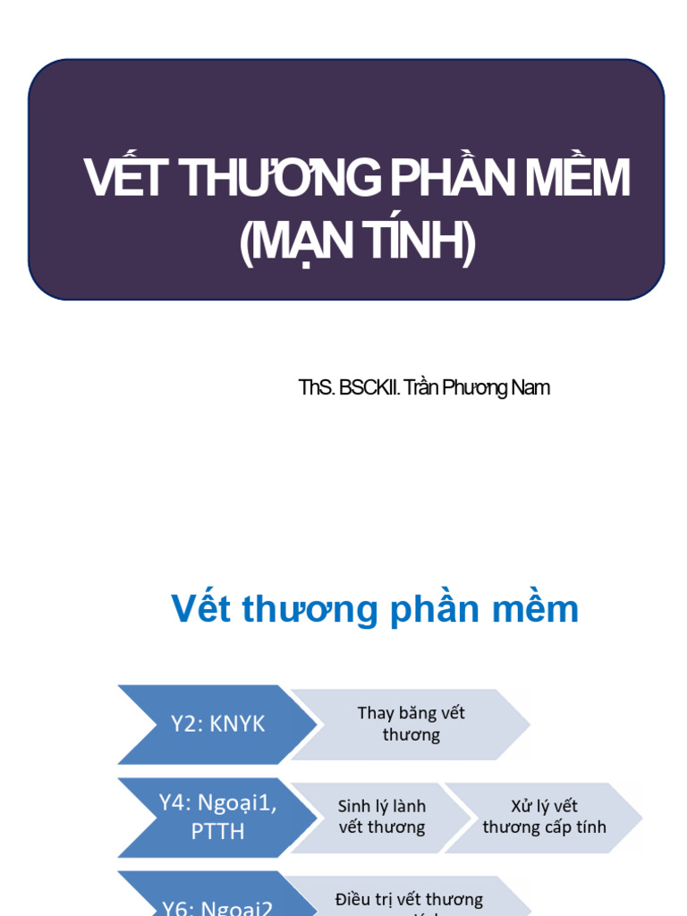 Vet Thuong Phan Mem | PDF