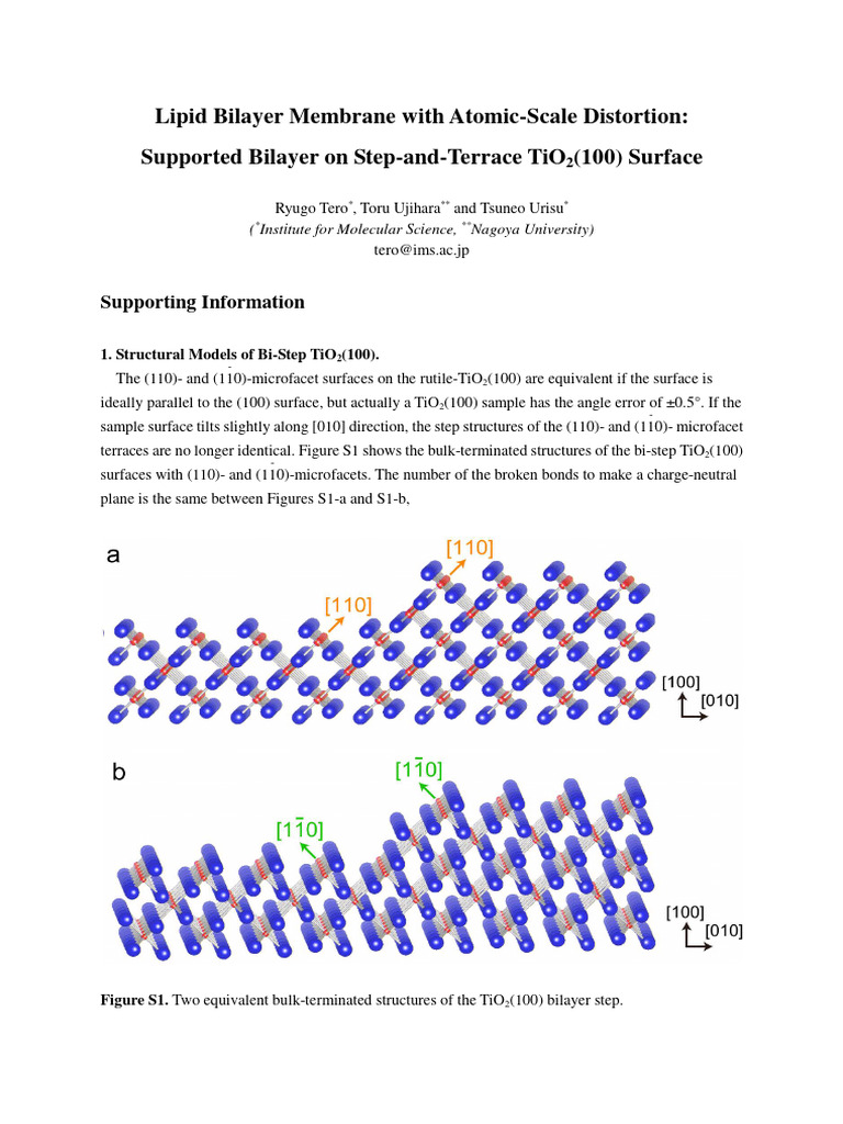 La801080f - Si - 001-Lipid Bilayer Membrane With Atomic Step Structure Supported Bilayer On A ...
