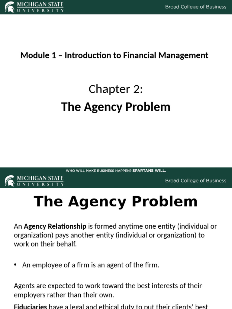 Ch 2 2.The Agency Problem | PDF