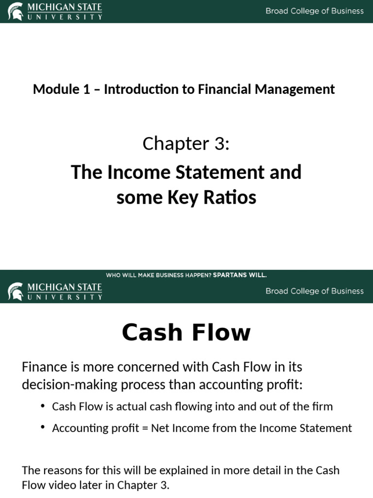 Income Statement Insights and Key Ratios | PDF | Expense | Income Statement