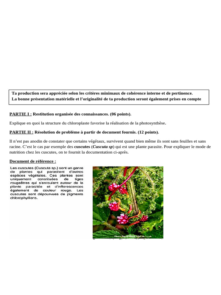 2è DSSS 2nd D 2024 | PDF