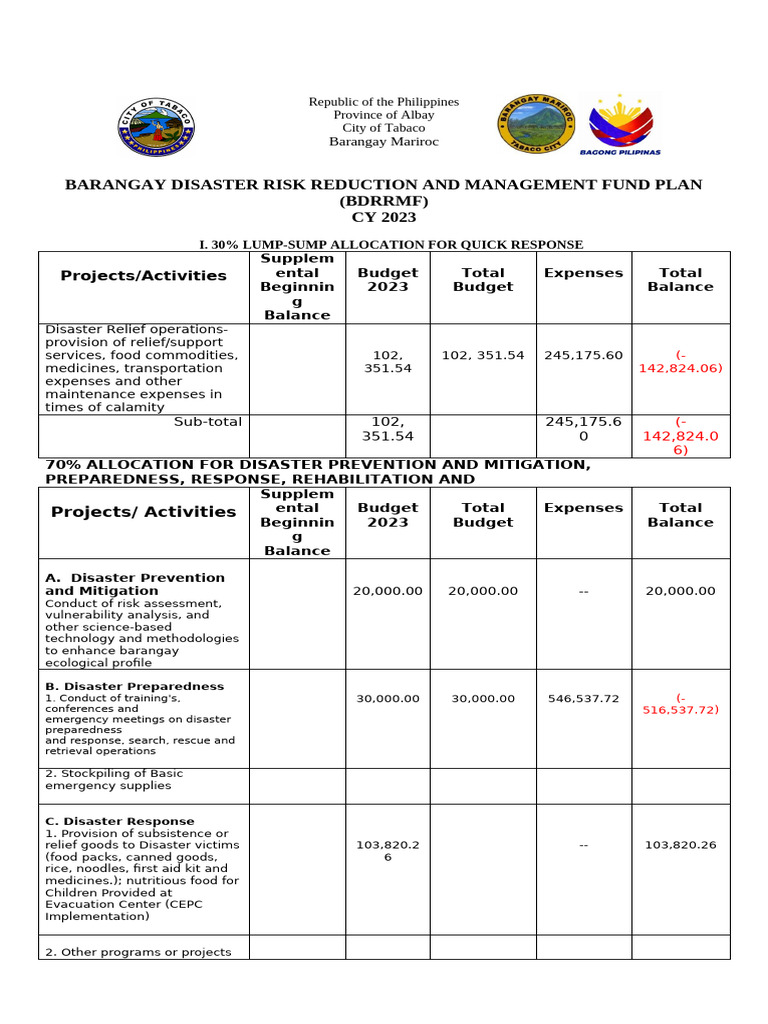 PLAN AND ACCOMPLISHMENT REPORT | PDF