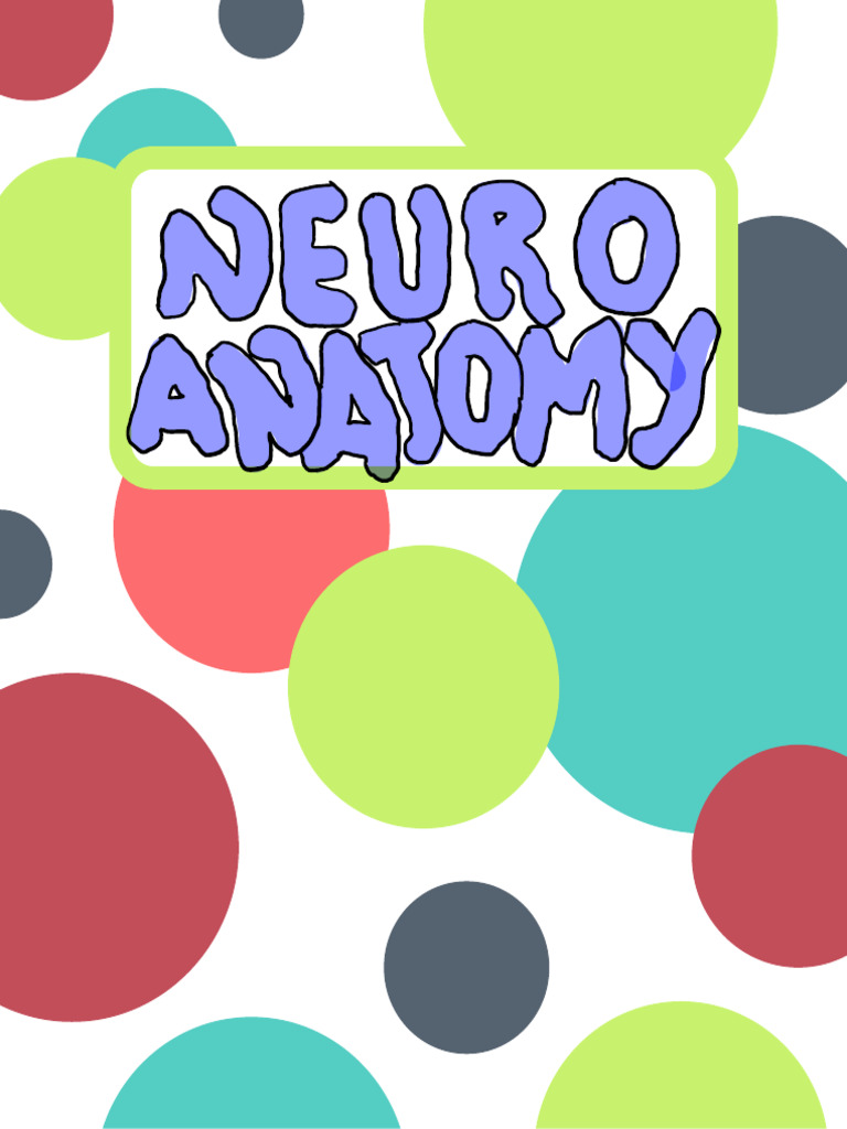 Neuro Anatomy | PDF