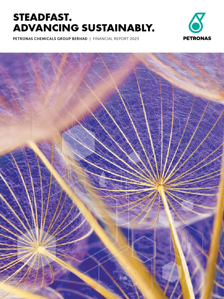 Financial Report 2023 | PDF