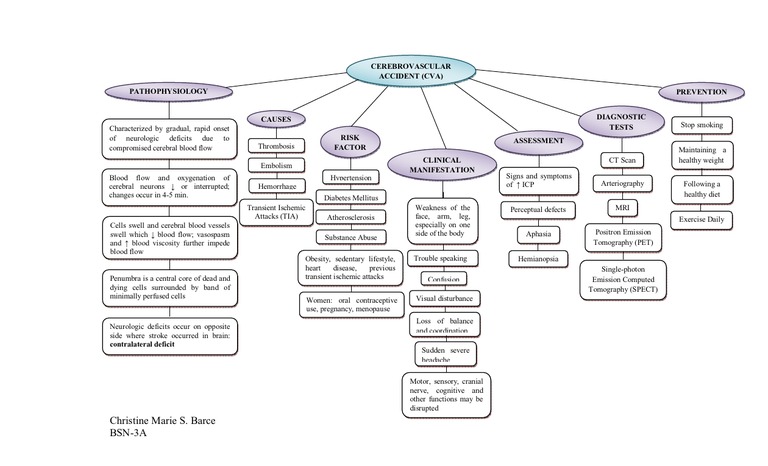 Stroke Concept Map for Nursing Students | PDF