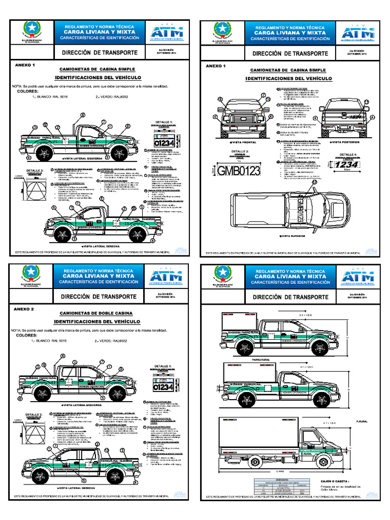FICHA CARGA LIVIANA Y MIXTA | PDF