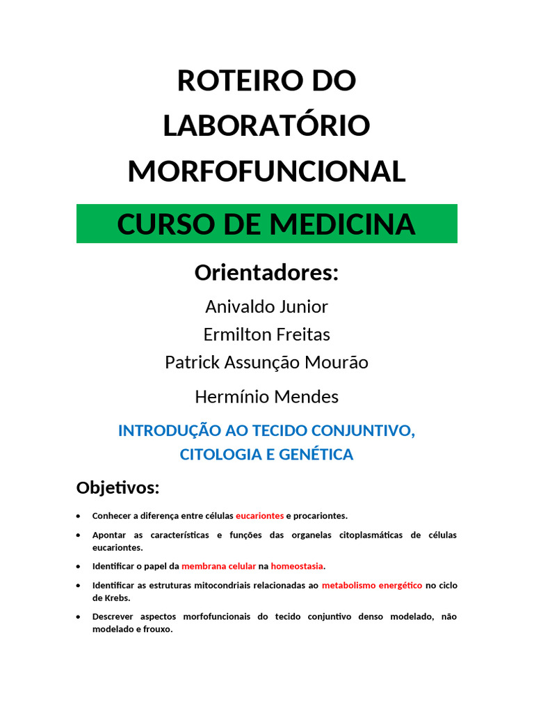 Morfo 2 | PDF